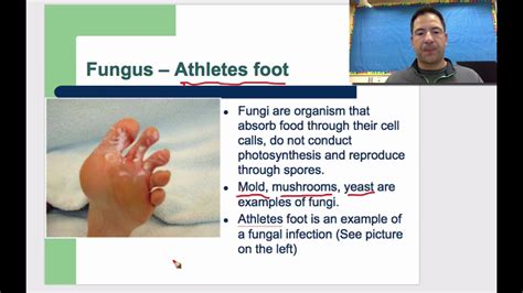 Types Of Pathogens Youtube