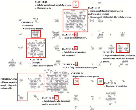 Grid Layout Of The 2467 Genes Probes Of Eisens Yeast Dataset As In