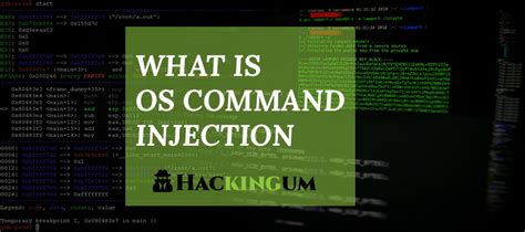 Os Command Injection Hackingum
