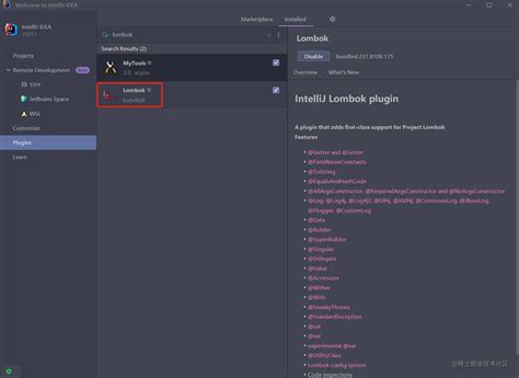 Idea用上这十大插件绝对舒服 掘金