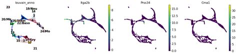 Scanpy Trajectory Analysis PAGA SingleCell Analysis Tutorial Documentation
