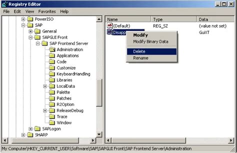 Issues With Guixt And The Sap Gui Dataxstream Oms