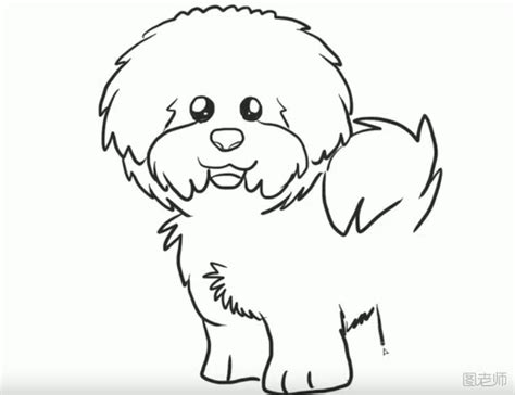 贵宾犬运动装简笔画 贵宾犬装画图 贵宾犬简笔画 第3页 大山谷图库