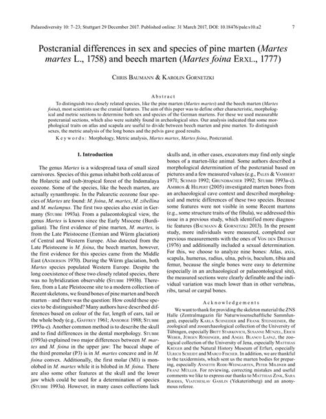 Pdf Postcranial Differences In Sex And Species Of Pine Marten