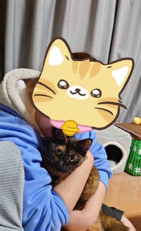 明日（今日）は猫の日（追記アリ） ハムな毎日のひとりごと