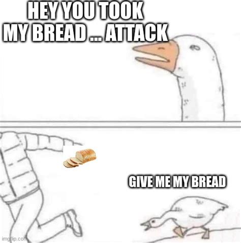 Goose Chase Memes Imgflip