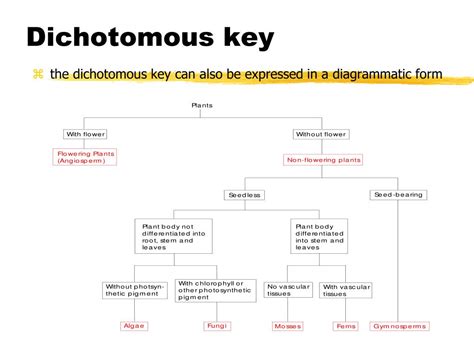 Ppt Dichotomous Keys Powerpoint Presentation Free Download Id574649