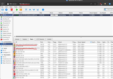 Assigning Ipv6 Directly From The Primary Router To Docker Containers