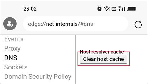 chrome net internals dns how does it work and how to fix it minitool