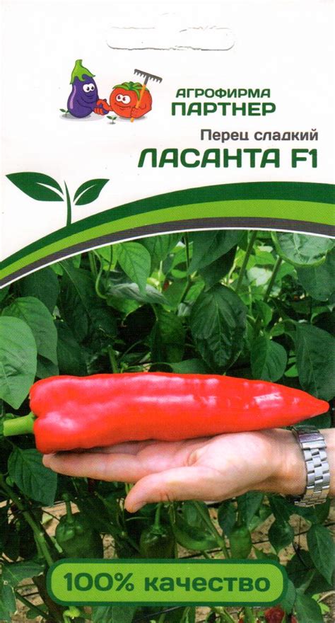 перец ЛАСАНТА, Партнер