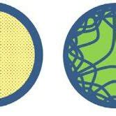 Schematic Structure Of A Nano Aggregate B Nanocapsule C Download Scientific Diagram