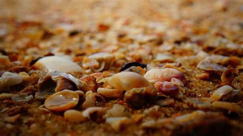 computer engineering courses