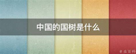 中国的国树是什么 业百科