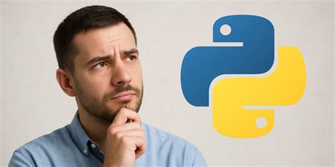 Como Usar A Função Input No Python