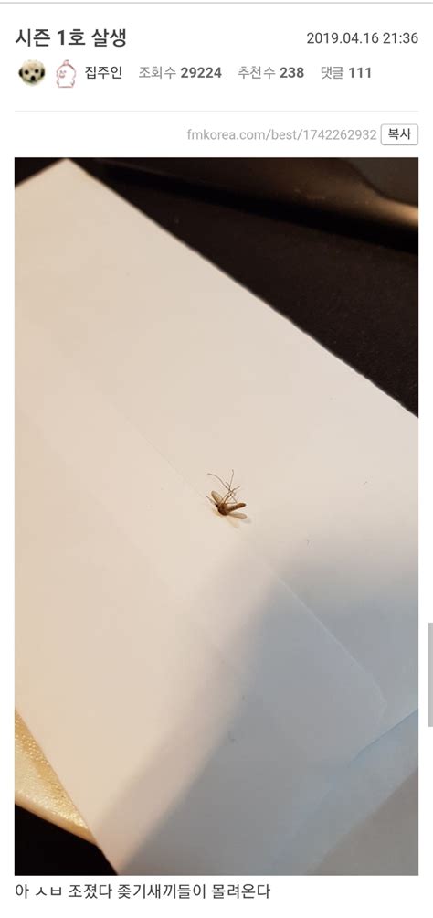 방금 충격적인 소식들음