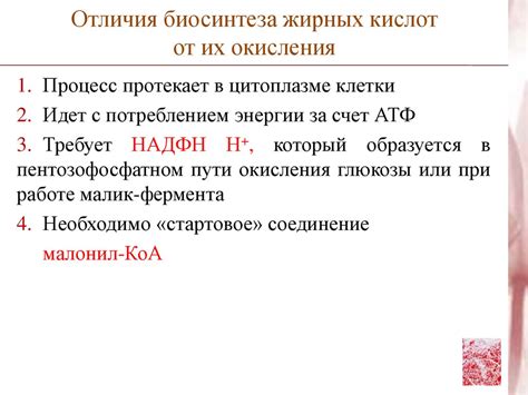 Обмен липидов β окисление жирных кислот презентация онлайн