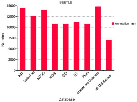Functional Annotation Of B Horsfieldi Transcripts In Seven Databases Download Scientific