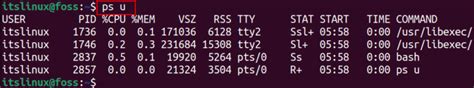 How To Use The Ps Aux Command In Linux Its Linux Foss