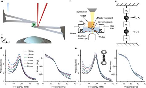 Working Principle And Conceptual Proof Of High Frequency Rheology Over Download Scientific