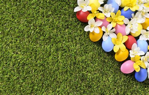 Wallpaper Grass Flowers Spring Easter Flowers Spring Easter Eggs