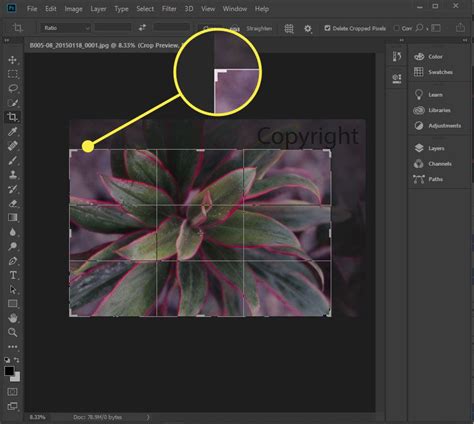 How To Remove Watermarks From Photos