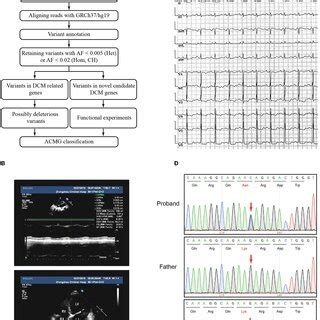 Variant Filtration Workflow And The Phenotype Of The Patient A Download Scientific Diagram