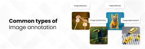 semantic segmentation for labeling data