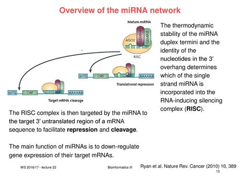 V22 Involvement Of Micrornas In Grns Ppt Download