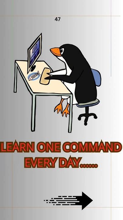 Learn One Command Every Day 47 Linuxtutorial Linuxcommandlinetutorial Linuxcommands Youtube