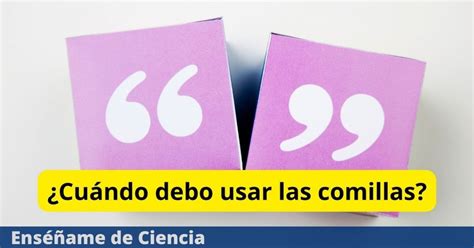 ¿cuál Es La Forma Correcta De Usar El Punto Y Coma Esta Es La Respuesta De La Rae