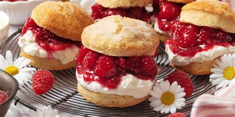 Raspberry Shortcake