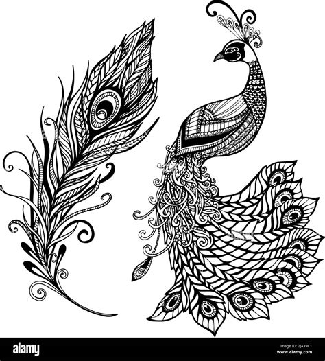 Decorative Stylized Peacock Bird Feather Art Deco Design Template For