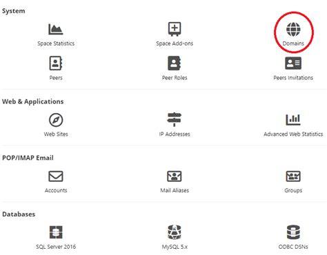 Where Can I Manage My DNS Records Control Panel