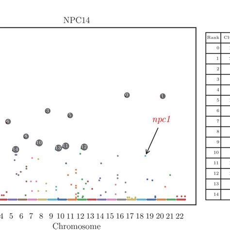 6 Precise Annotation Of The Genome Wide Graph Of Npc C Patients With Download Scientific