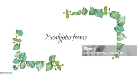녹색 유칼립투스와 수채화 손 그린 자연 녹지 프레임 구성은 텍스트에 대한 공간과 초대 및 인사말 카드에 대한 흰색 배경에 꽃다발과 텍스트를 잎 0명에 대한 스톡 벡터 아트