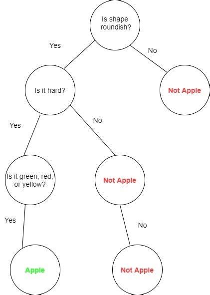 Real World Applications Of Tree Data Structures By Karolina Jan 2022 Medium