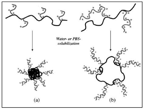 Polyε Caprolactone Based Graft Copolymers Synthesis Methods And Applications In The
