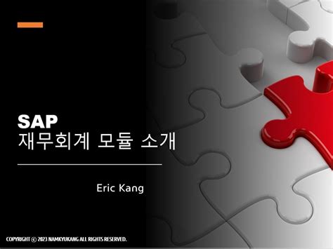 Sap 재무회계 모듈 소개 크몽