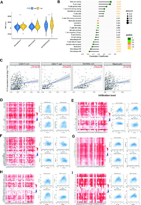 Associations Of The Flt3 Expression Level With Tumor Immune