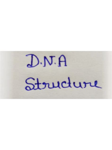 D N A Structure Pdf