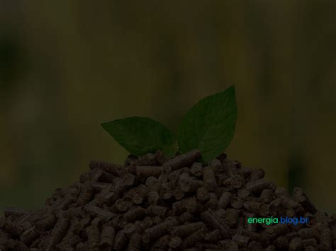 Energia De Biomassa No Brasil Renovação E Redução De Resíduos Blog