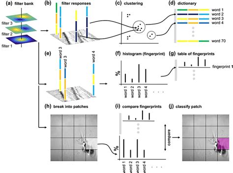 Flowchart Of Feature Extraction And Machine Learning Process Download Scientific Diagram