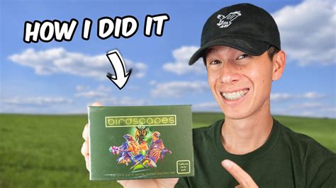 I Created An Indie Tcg Based On Real Life Birds Youtube