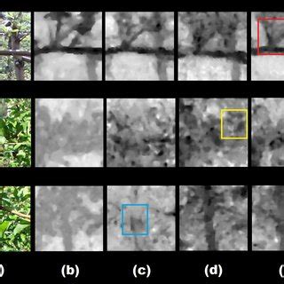 Qualitative Results Of GAN With Different Models A Test Patch In Download Scientific Diagram