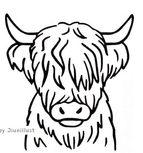 Step By Step Highland Cow Drawing