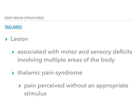 Deep Brain Structures Pdf