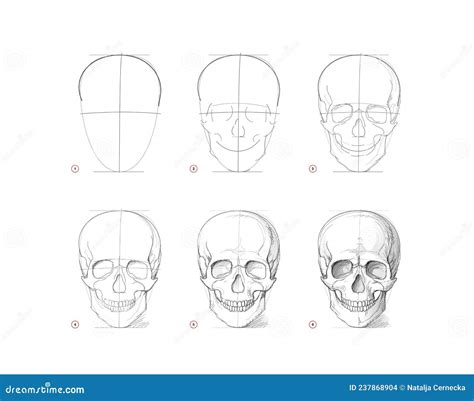 Page Shows How To Learn To Draw Sketch Of Human Skull Creation Step By Step Pencil Drawing