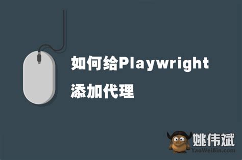 如何给playwright添加代理 姚伟斌