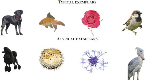 Representative Stimuli Download Scientific Diagram