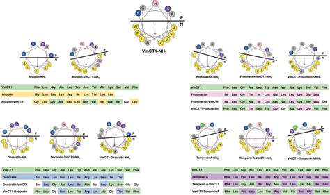 Hybrid Peptide Design Helical Wheel Projections Of Vmct1 Anoplin
